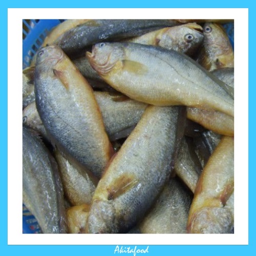 Fish – AKITA FOOD